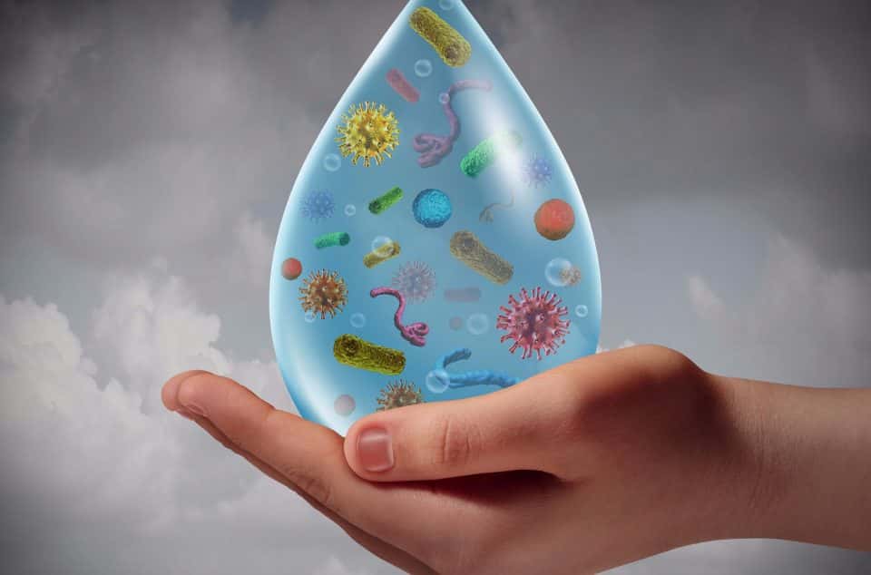 Pandemic Facts About Cholera - Factinate