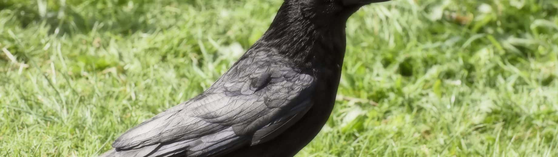 42 Facts That Every Real Science Buff Should Know - Factinate