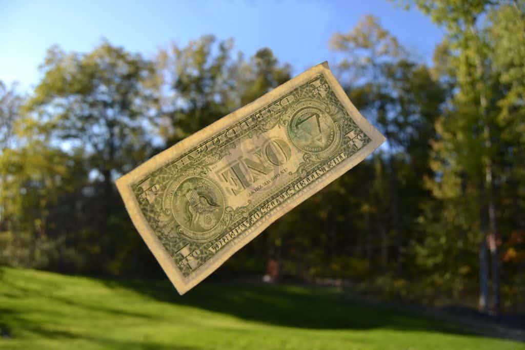 Strange Facts That Make You Question Everything