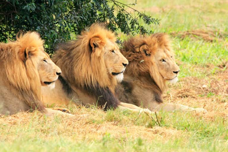 Crazy Facts About Kidnapping