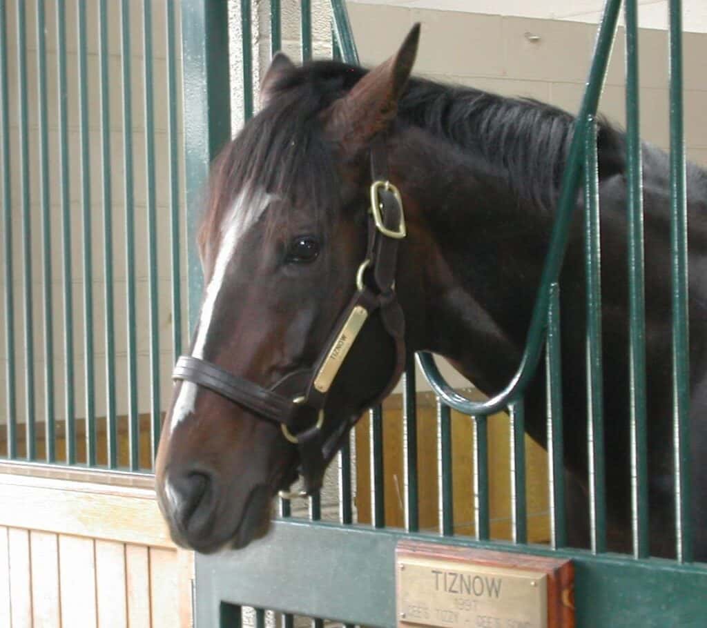 The Fascinating History Of Horse Racing