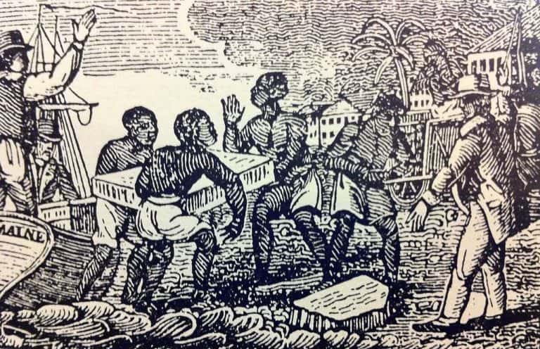 Unsettling Facts About The Cruel World Of The Antebellum South