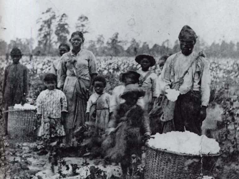 Unsettling Facts About The Cruel World Of The Antebellum South