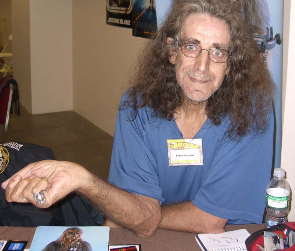 Cuddly Facts About Chewbacca