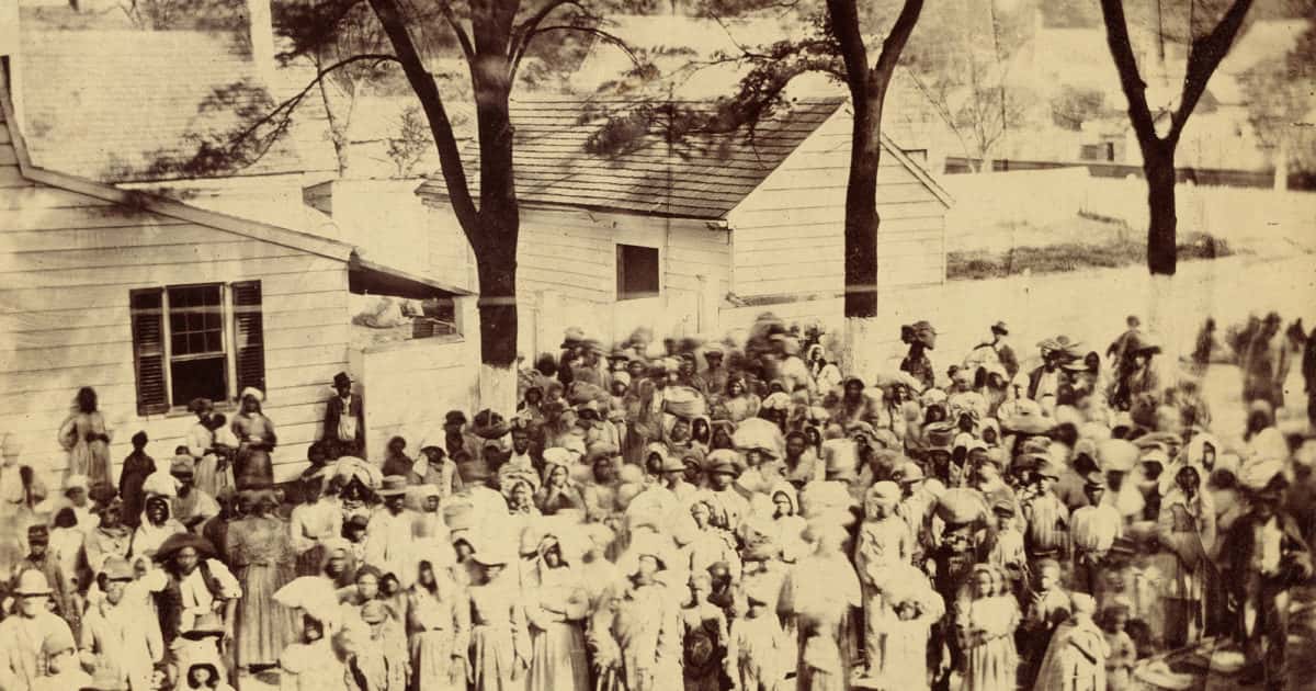 Unsettling Facts About The Cruel World Of The Antebellum South - Factinate