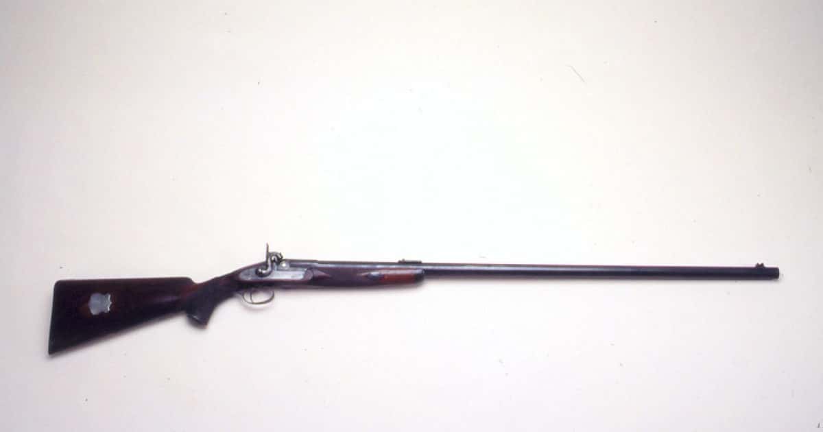 On-Target Facts About Snipers - Factinate