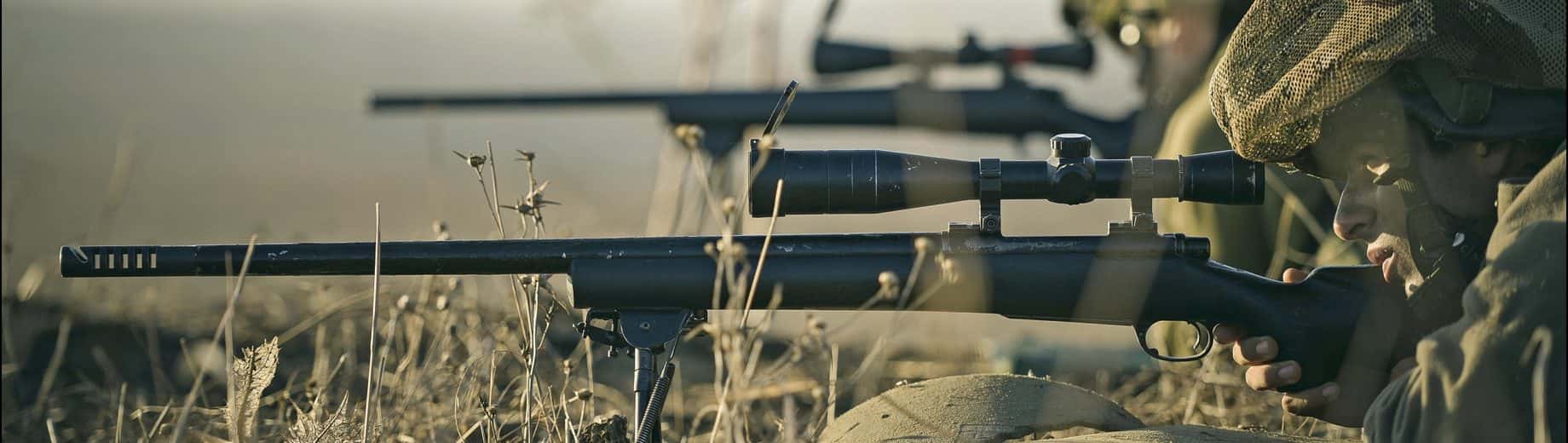 On-Target Facts About Snipers - Factinate
