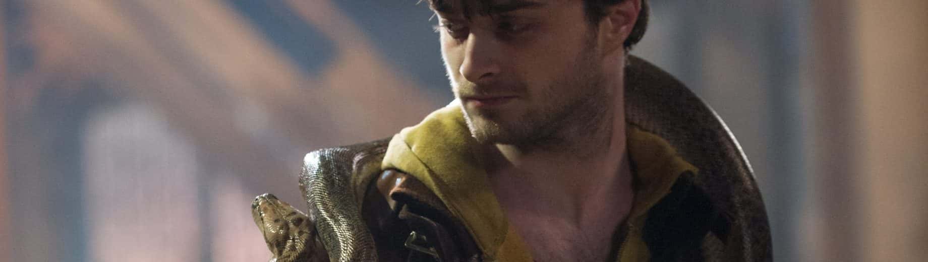 42 Behind-The-Scenes Facts About Daniel Radcliffe - Factinate