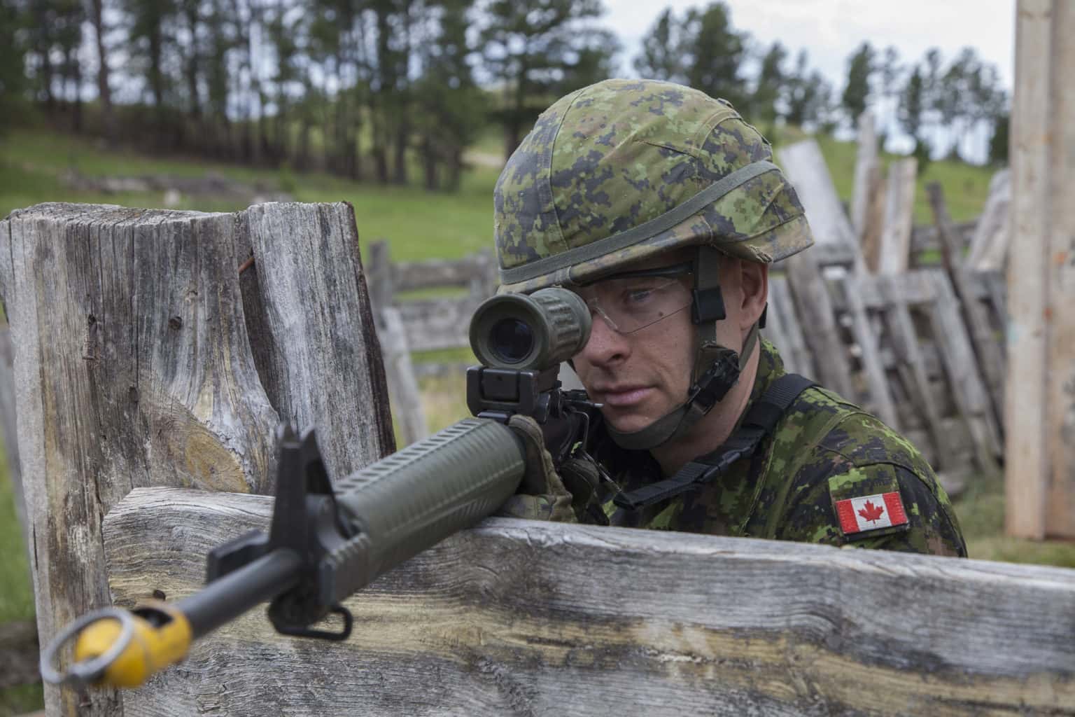 On-Target Facts About Snipers