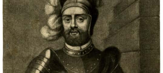 Heroic Facts About Robert the Bruce - Factinate