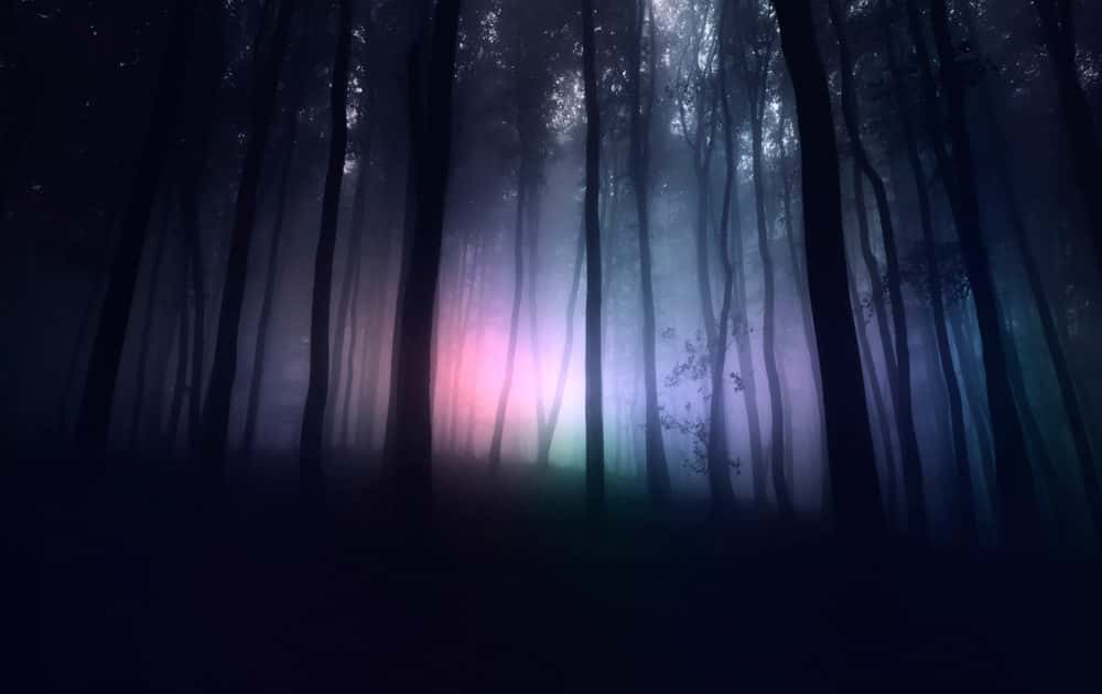 Unreal Facts About The Truth Behind Supernatural Phenomena - Factinate