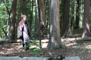 Terrifying Facts About The Real-Life Origins of Monsters