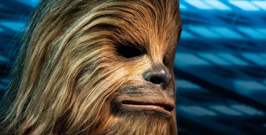 Cuddly Facts About Chewbacca - Factinate