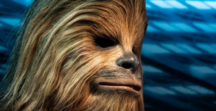 Cuddly Facts About Chewbacca - Factinate