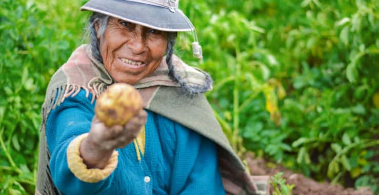 Decadent Facts About The Inca Empire - Factinate