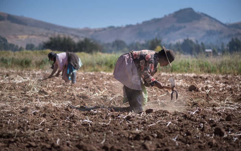 Decadent Facts About The Inca Empire - Factinate