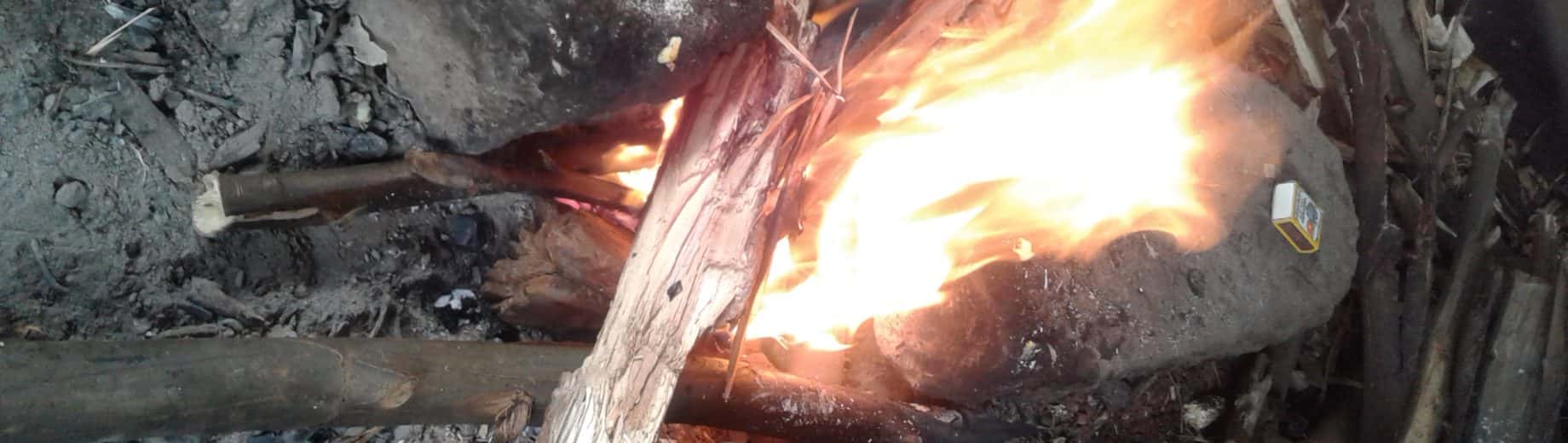 Brutal Facts About Prehistoric Humans - Factinate