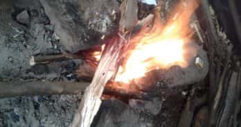 Brutal Facts About Prehistoric Humans - Factinate