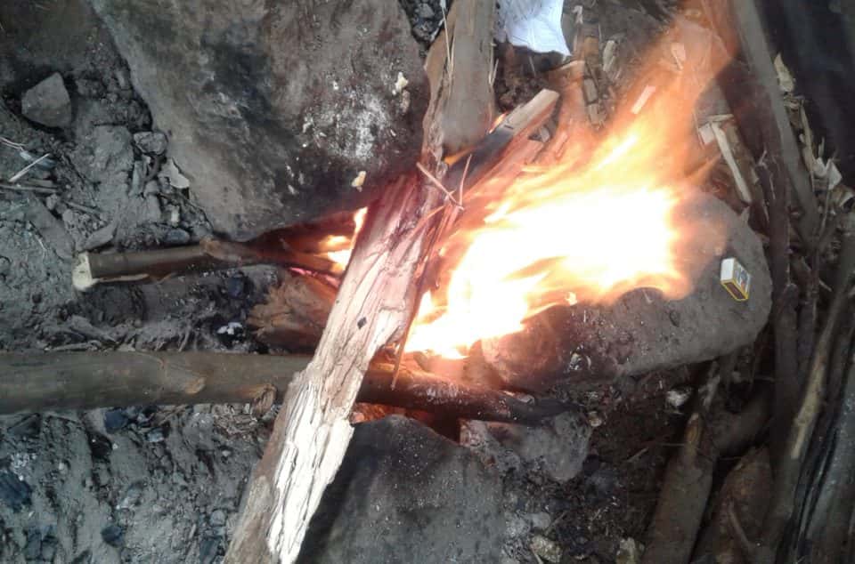 Brutal Facts About Prehistoric Humans - Factinate