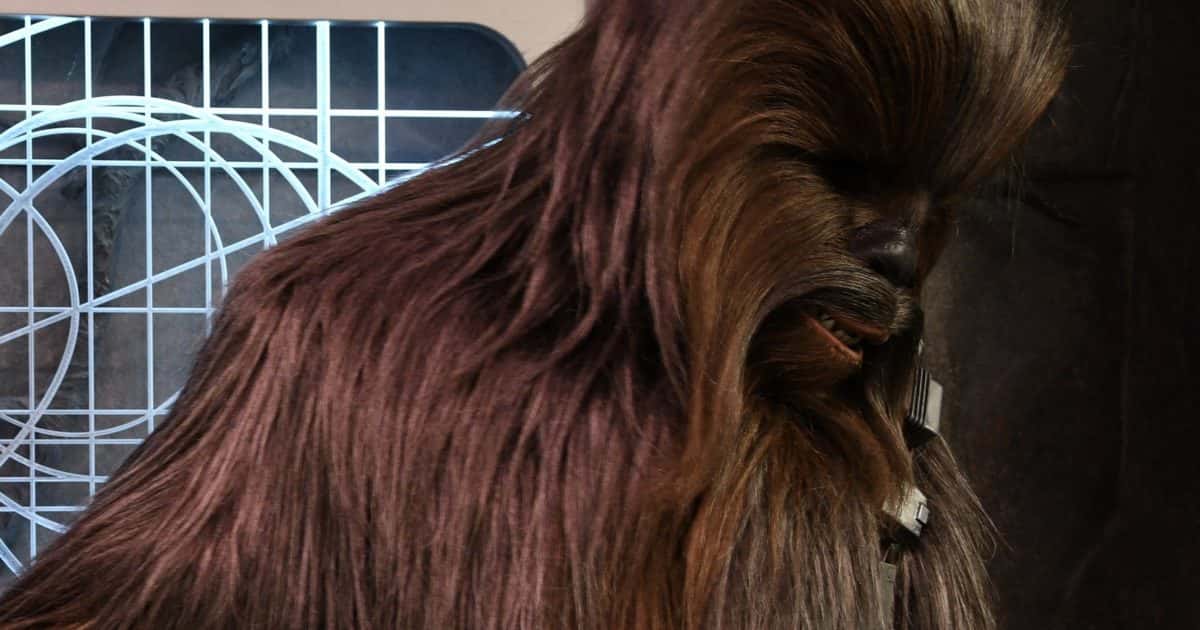 Cuddly Facts About Chewbacca - Factinate