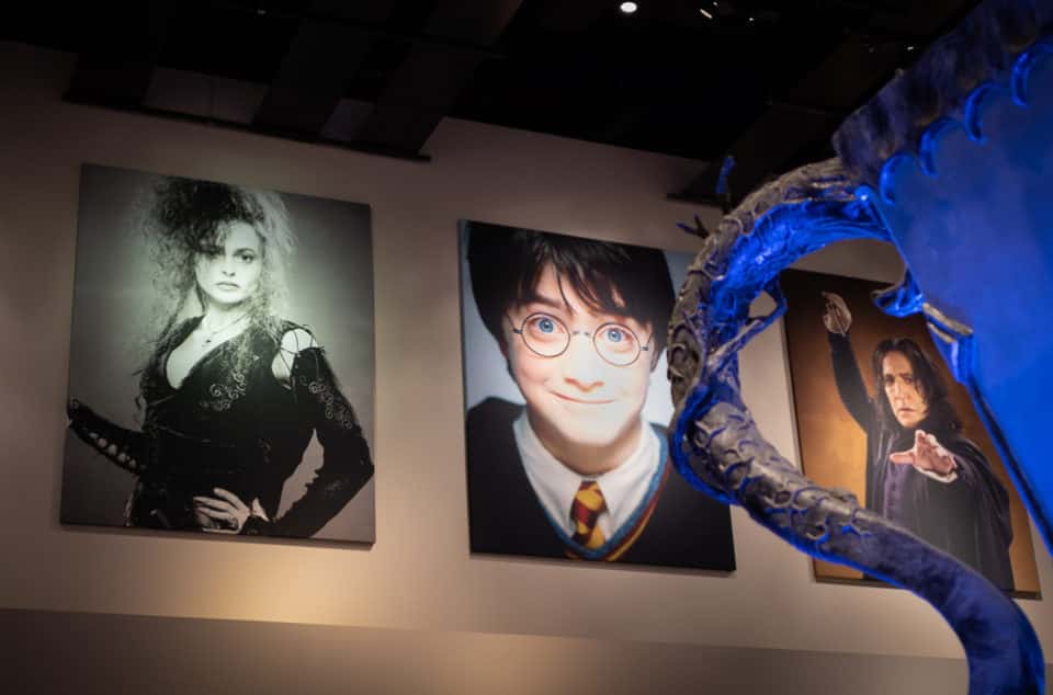 Chilling Facts About Bellatrix Lestrange - Factinate