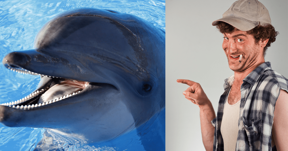 24 Amazingly Awesome Facts About Awesome Things