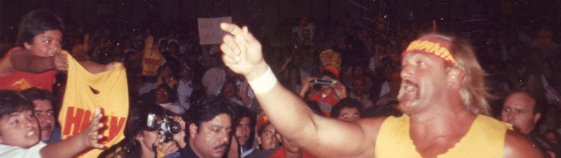 Smashing Facts About Hulk Hogan - Factinate