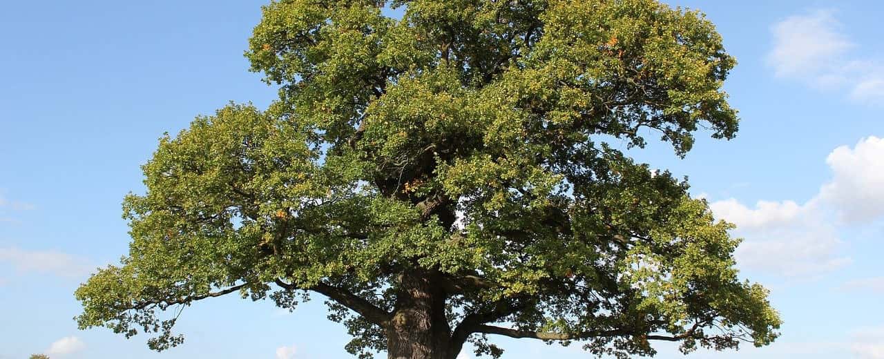 24 Occult Facts About Paganism, The Strange Ancient Religion - Factinate