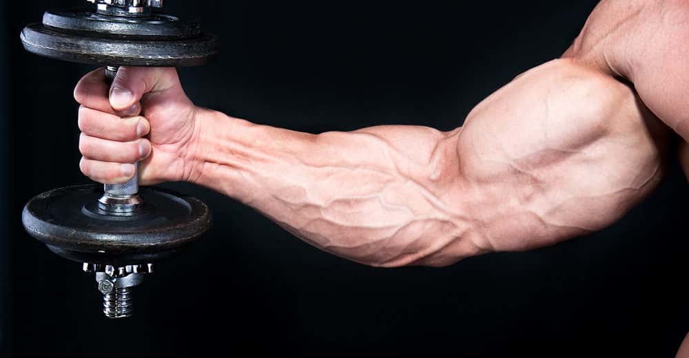 Awesome Facts About The World’s Strongest People - Factinate