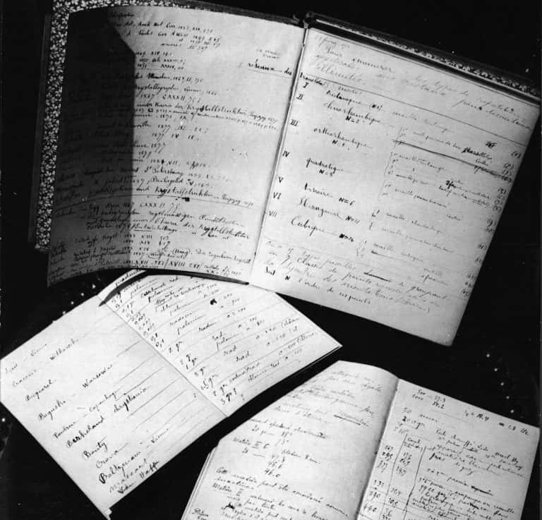 Facts About Marie Curie, The Woman Who Discovered Radium