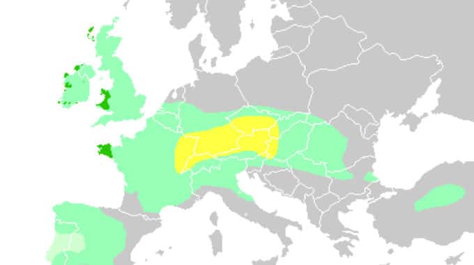 42 Brutal Facts About The Celts - Factinate