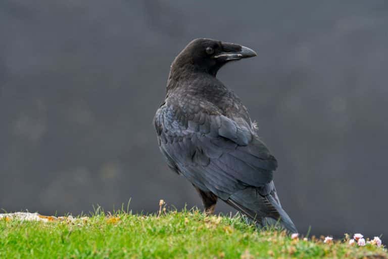 Bloody Facts About The Tower of London, The Infamous Royal Prison