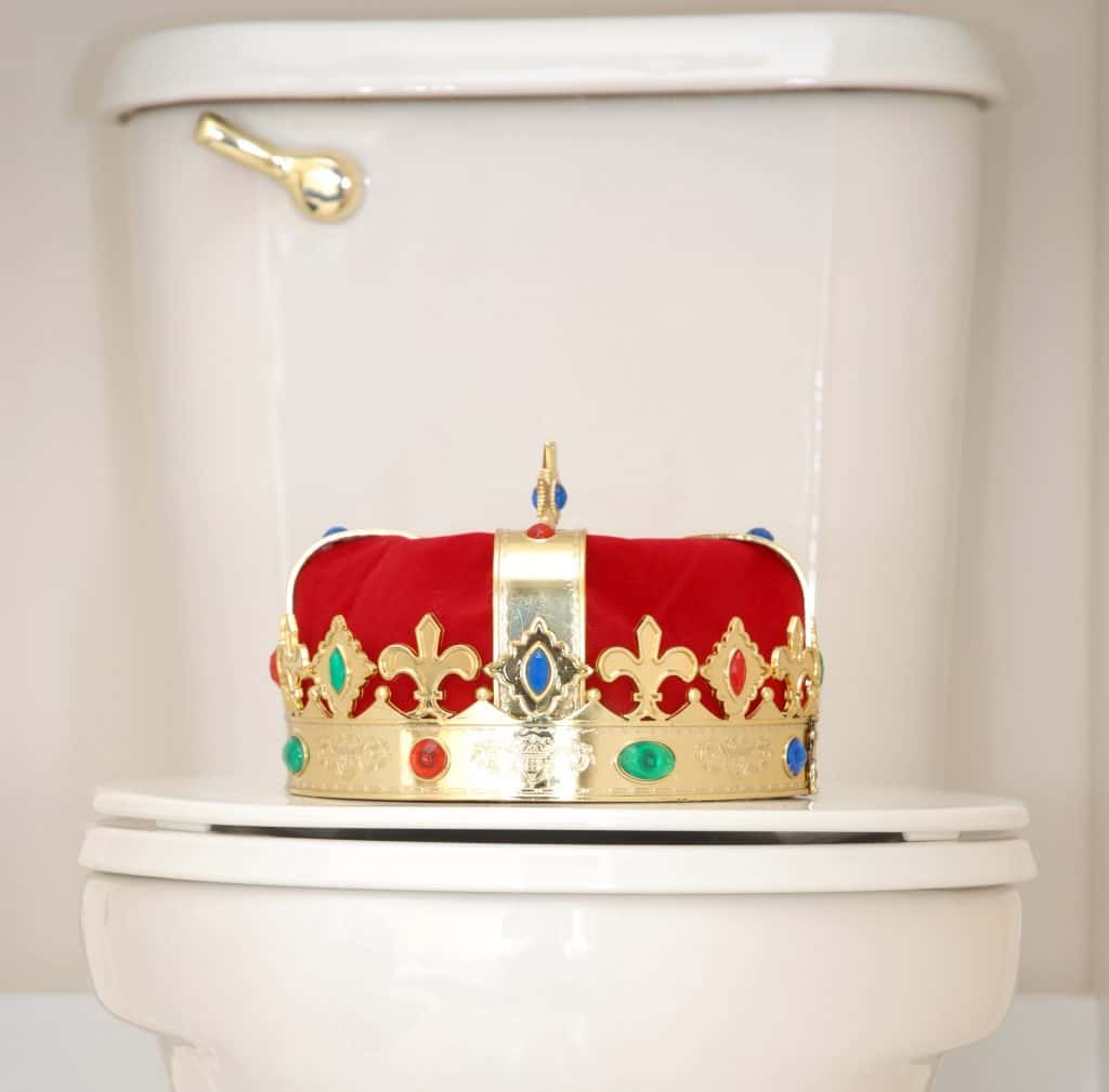 44 Unsanitary Facts About The History Of The Toilet - Factinate