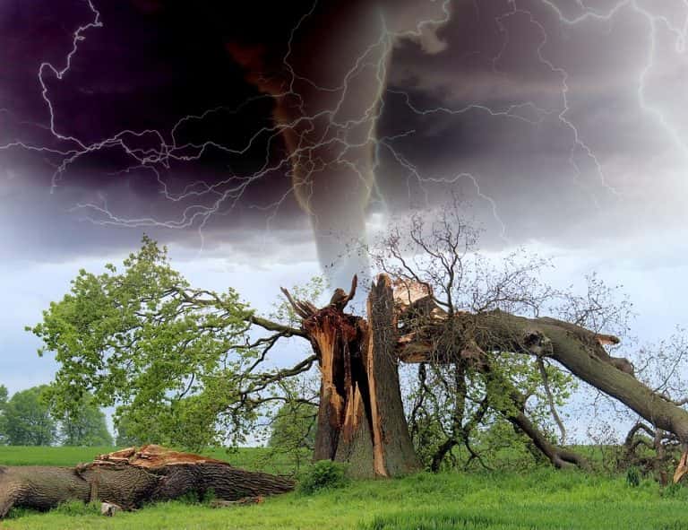 Earth-Shaking Facts About Natural Disasters
