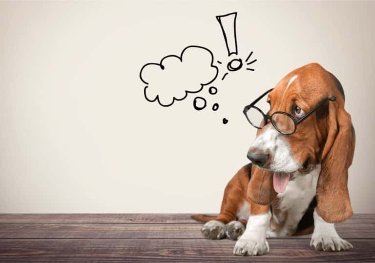 Earth-Shaking Facts About Natural Disasters