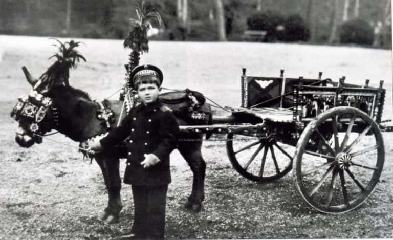 42 Tragic Facts About Alexei Romanov, Russia's Last Heir