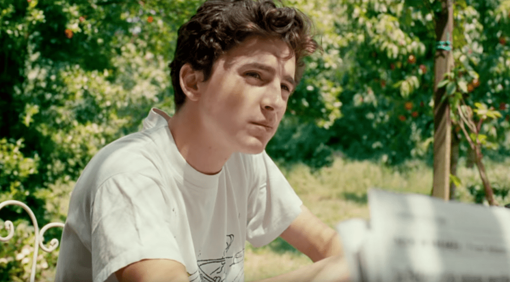 Charming Facts About Timothee Chalamet - Factinate