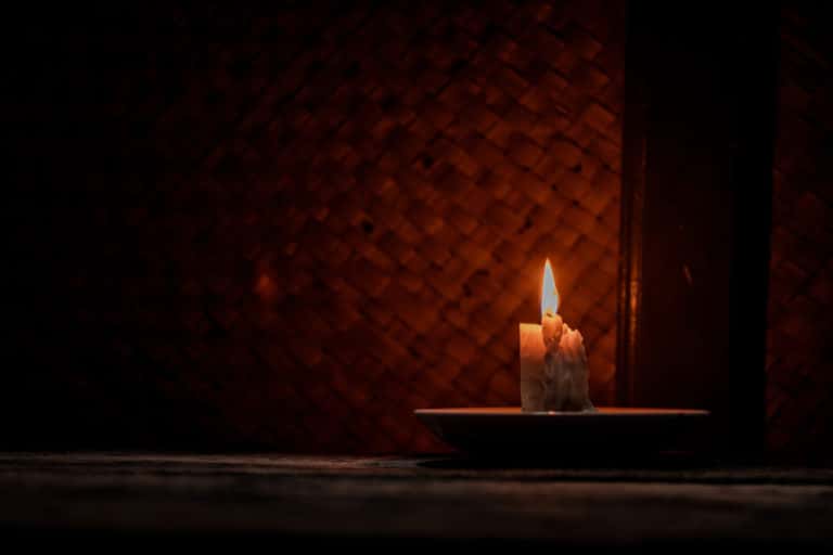 Mad Facts About Percy Shelley, England's Lost Poet