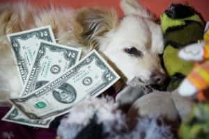 Oddball Facts About The Weirdest People In History