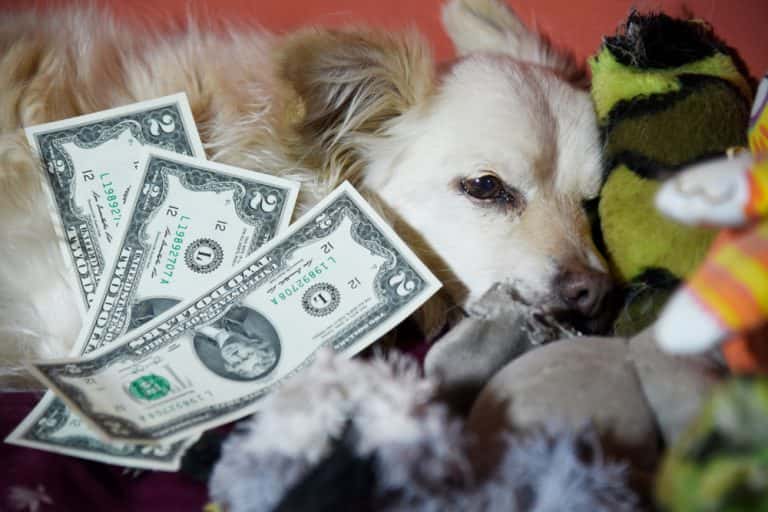 Oddball Facts About The Weirdest People In History