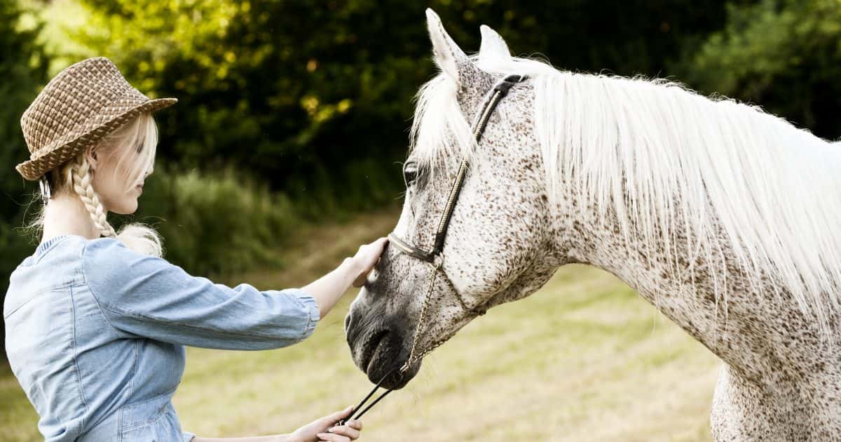 41 Plucky Facts About Anne Of Green Gables, The Redhead Heroine