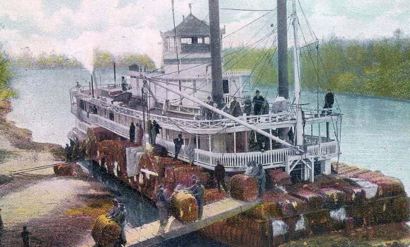 42 Larger-Than-Life Facts About Tennessee Williams, The Southern Scribe ...