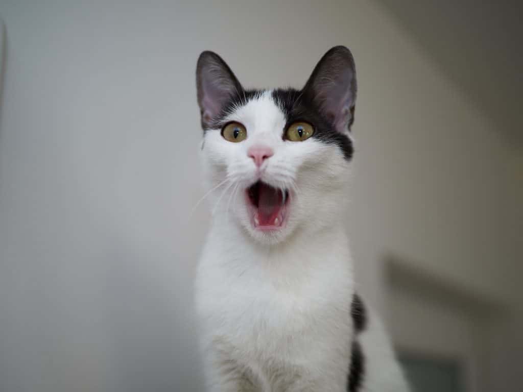 32 Mind-Altering Facts About Doctor Sleep, The Shining's Chilling Sequel