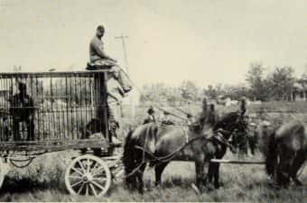 Sonya Golden Hand Was Russia's Queen Of Thieves—Until It All Came ...