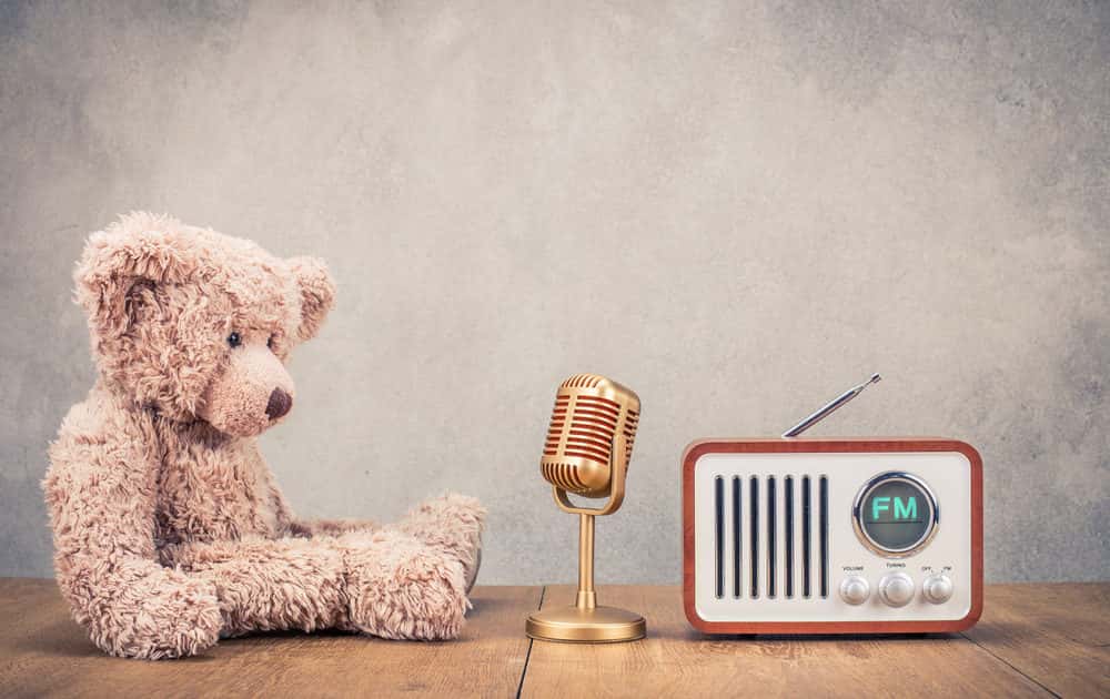 Outrageous Facts About Howard Stern, The Ultimate Shock Jock - Factinate