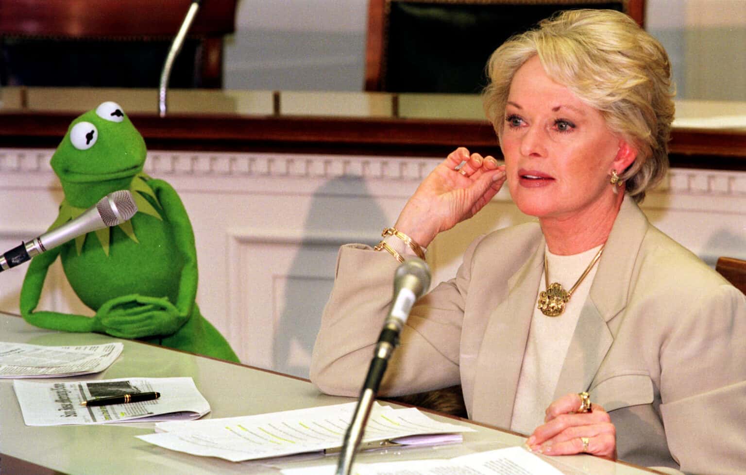 Magical Facts About The Muppets