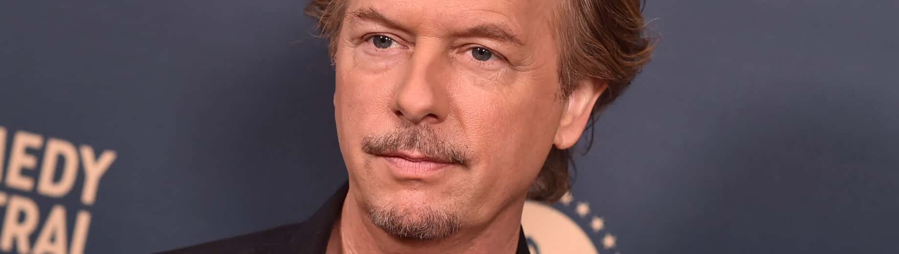 Scandalous Facts About David Spade, The Playboy Comedian - Factinate