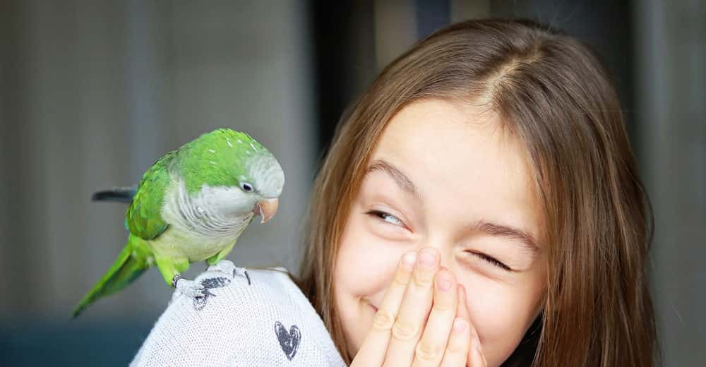 Irresistible Facts About Baby Animals - Factinate