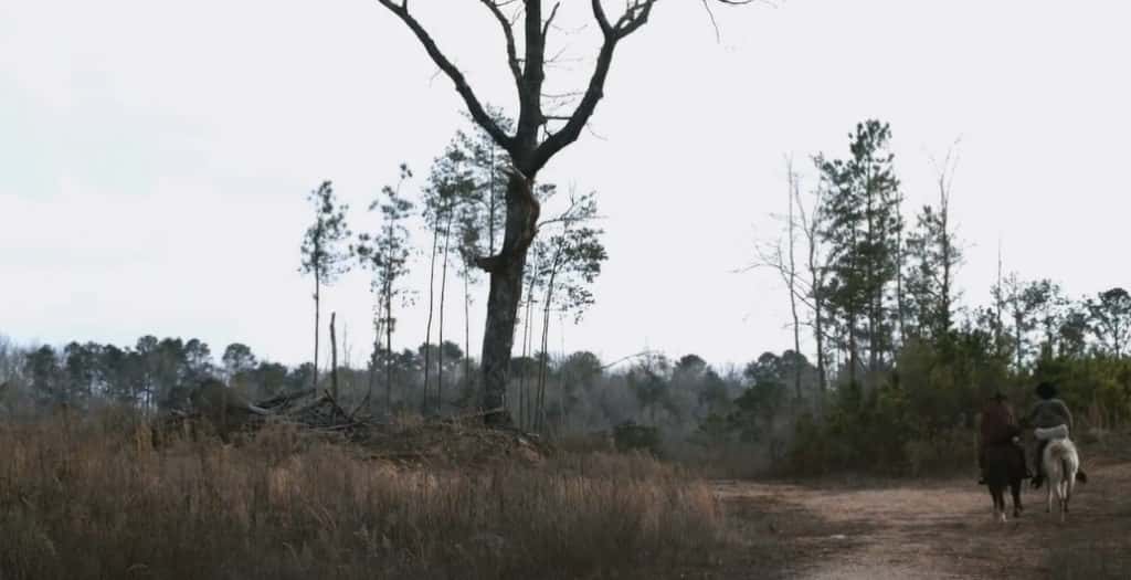 Rowdy Facts About Bass Reeves, The Real-Life Django Unchained