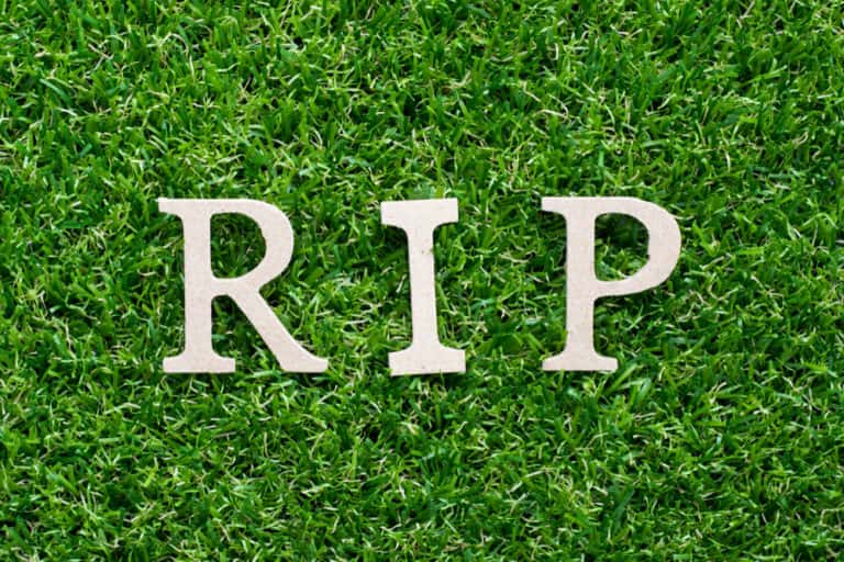 Fearless Facts About Lili'uokalani, The First And Last Queen Of Hawaii